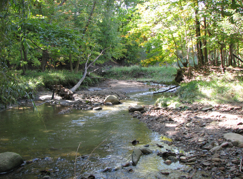 Snake Hills Conservation Area - West Creek
